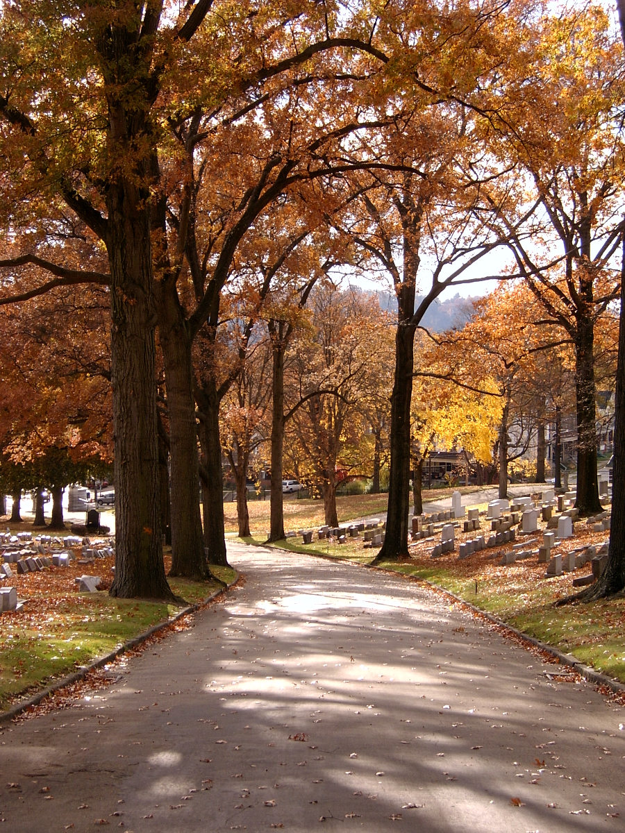 Autumn in the Union Dale Cemetery – Father Pitt